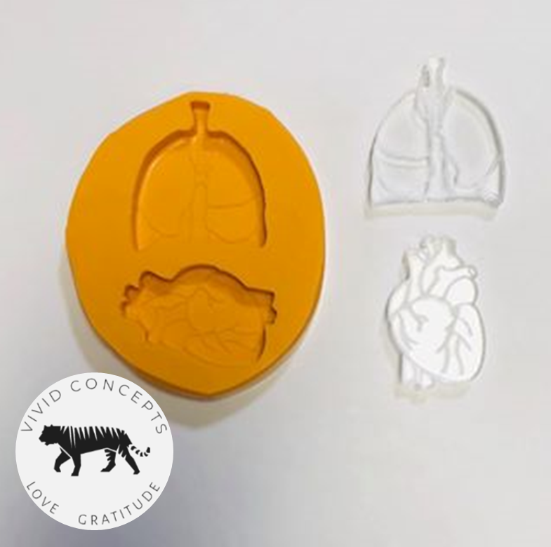 Organs (Minis) Heart / Lungs / Uterus Silicone Mold – Vivid Concepts Inc